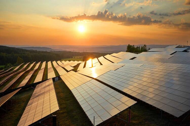 Tribunal tumba megaproyectos solares en selva maya – Energy21
